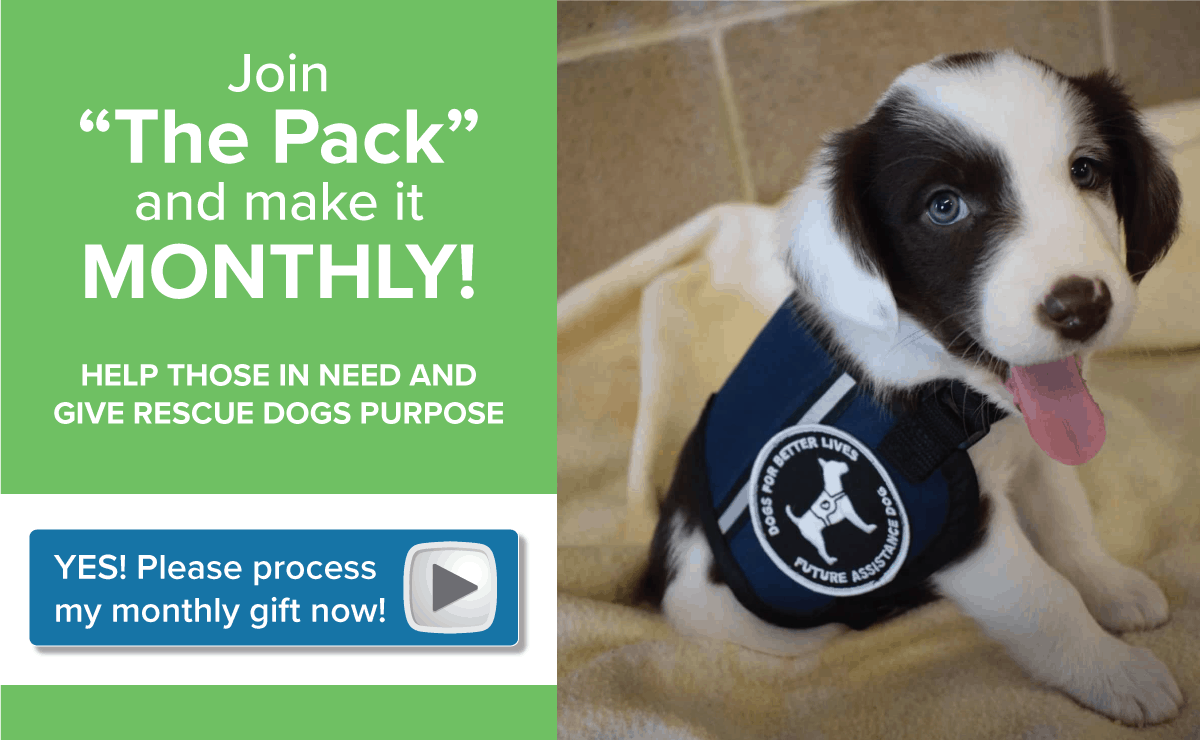 Puppy Raiser Application - Dogs For Better Lives