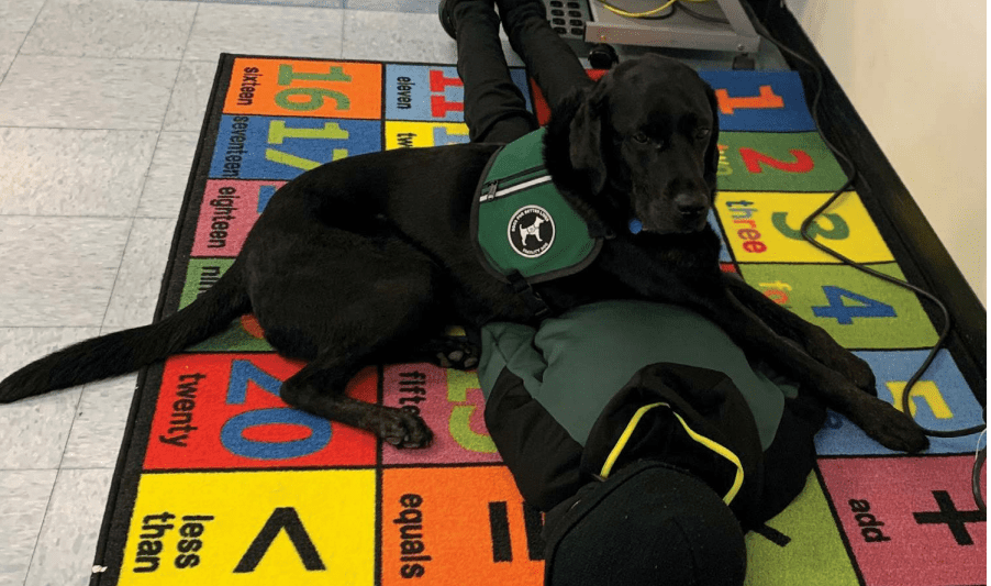 How Facility Dog Deacon Changed Rosie's Classroom