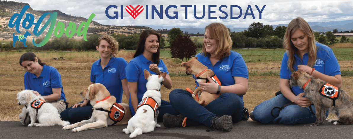 Ways to Get Involved on Giving Tuesday - Dogs For Better Lives
