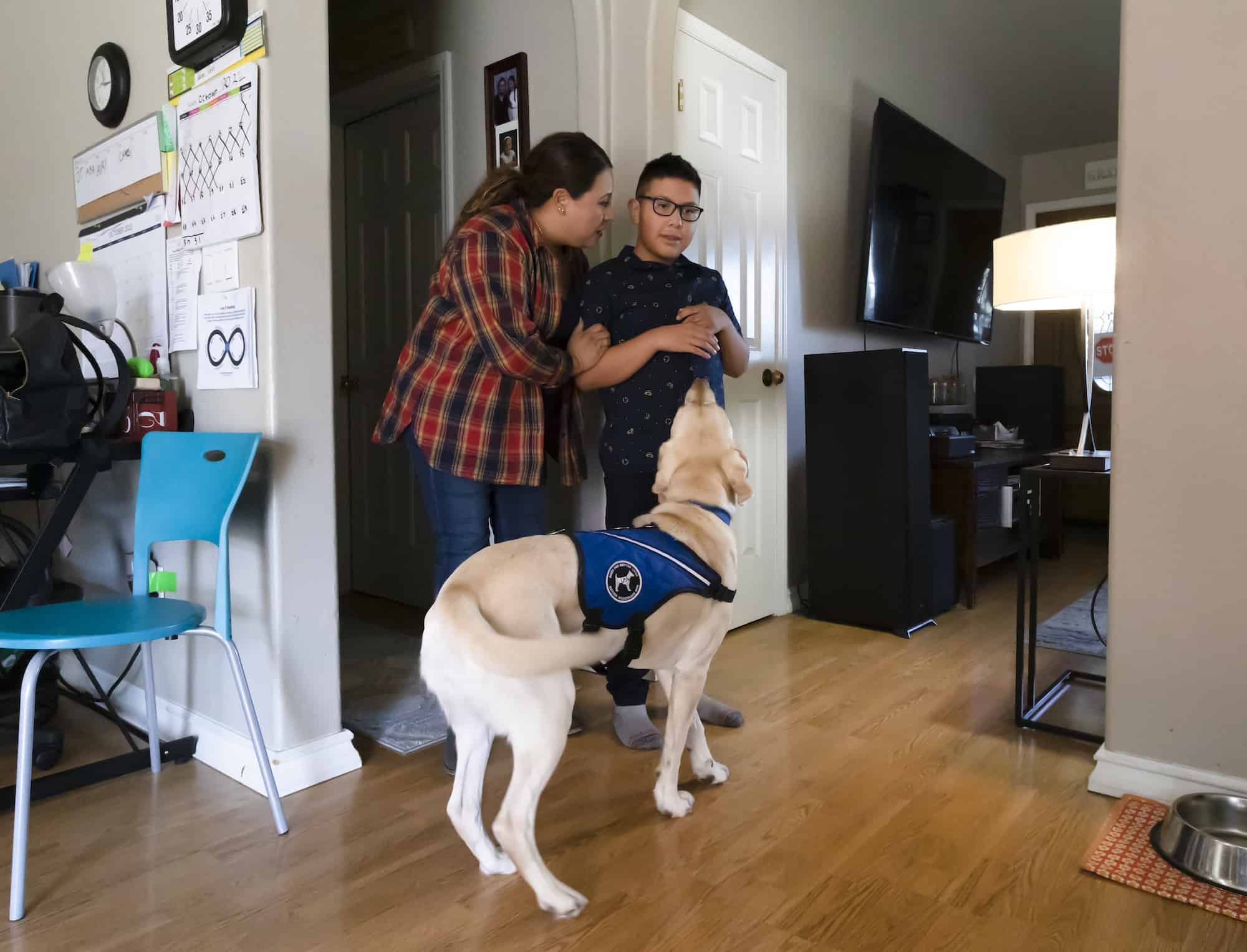 Dogs for Better Lives Honored As Recipient In The Oregonian's Season of ...