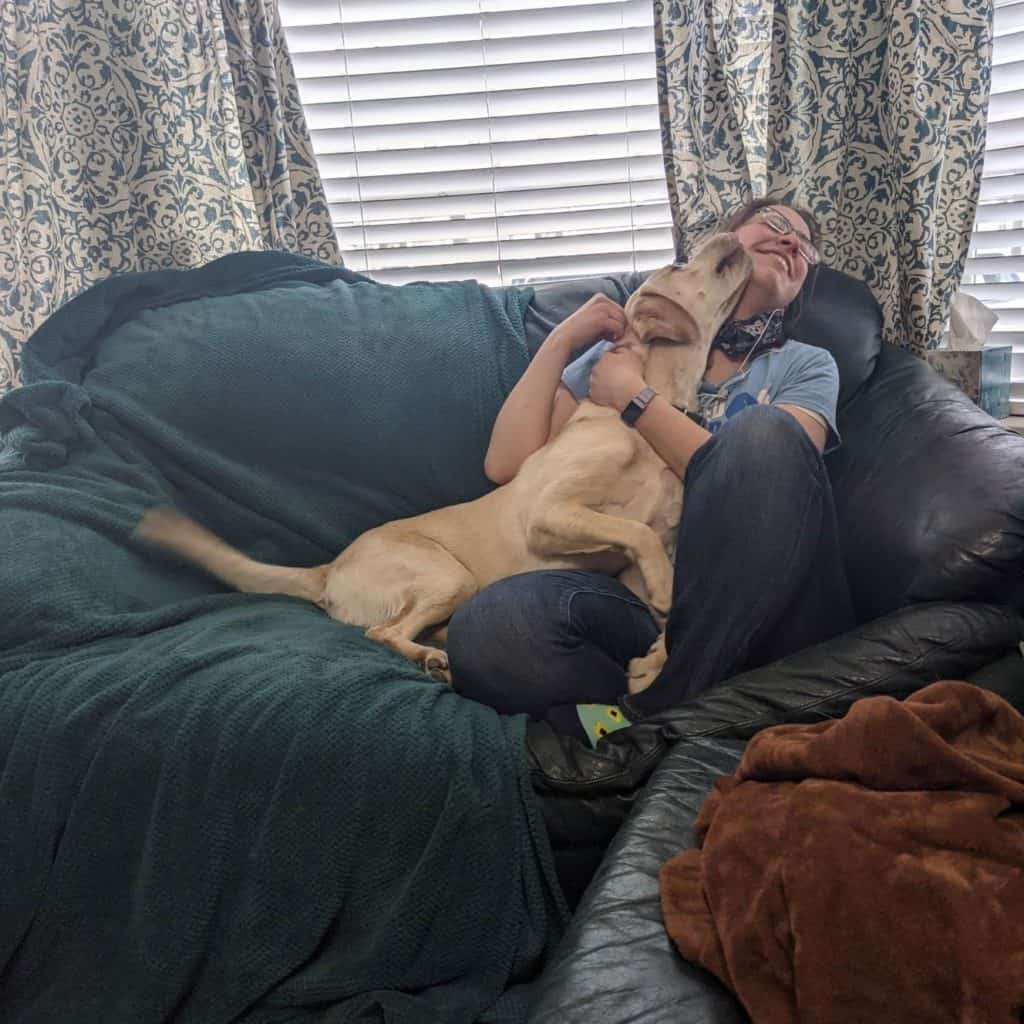 How Facility Dog Ruth changed my classroom - Dogs For Better Lives