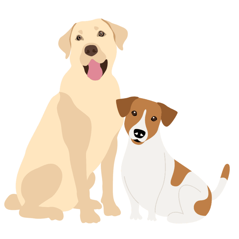 Dogs For Better Lives | Hearing, Autism, Facility Service Dogs‎