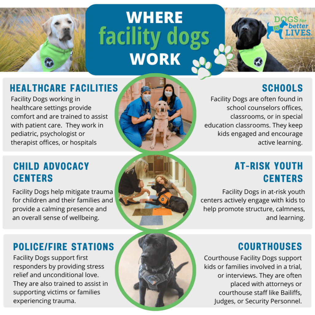 Facility Dogs | Dogs For Better Lives