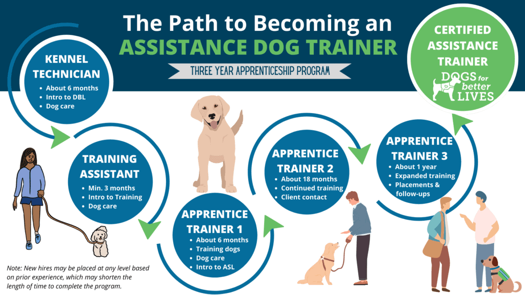 The Path to Becoming a Certified Assistance Dog Trainer