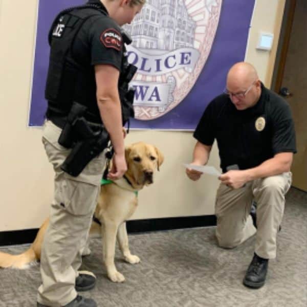 Facility Dog Archie Bringing Joy to Central Washington University ...