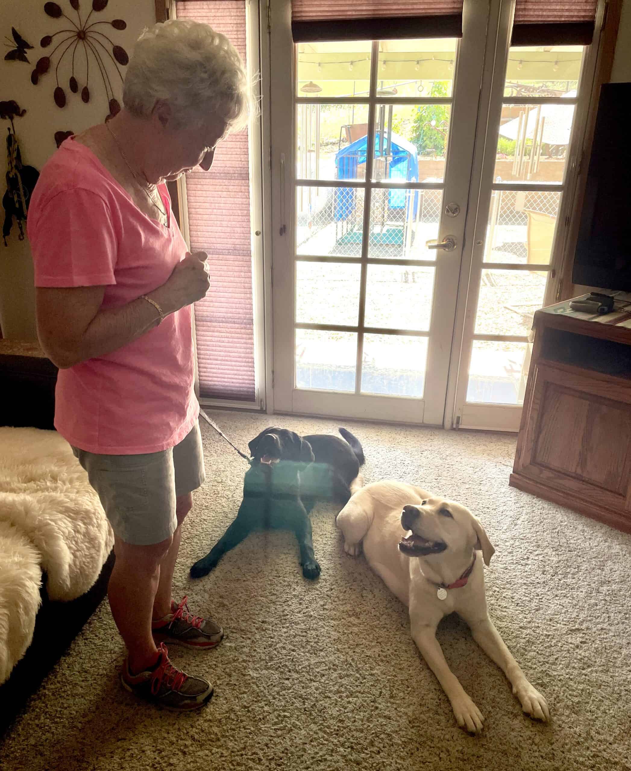 Caring for the Next Generation of Service Dogs - Nancy's Story