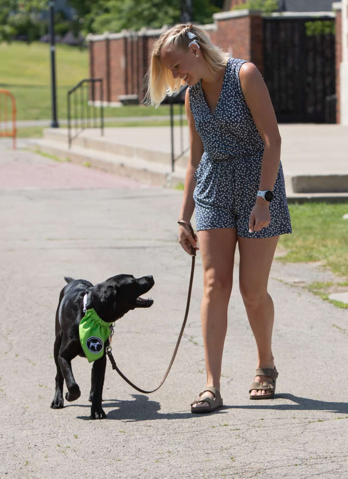 The Transformative Bond: Nicole's Journey with Hearing Assistance Dog ...