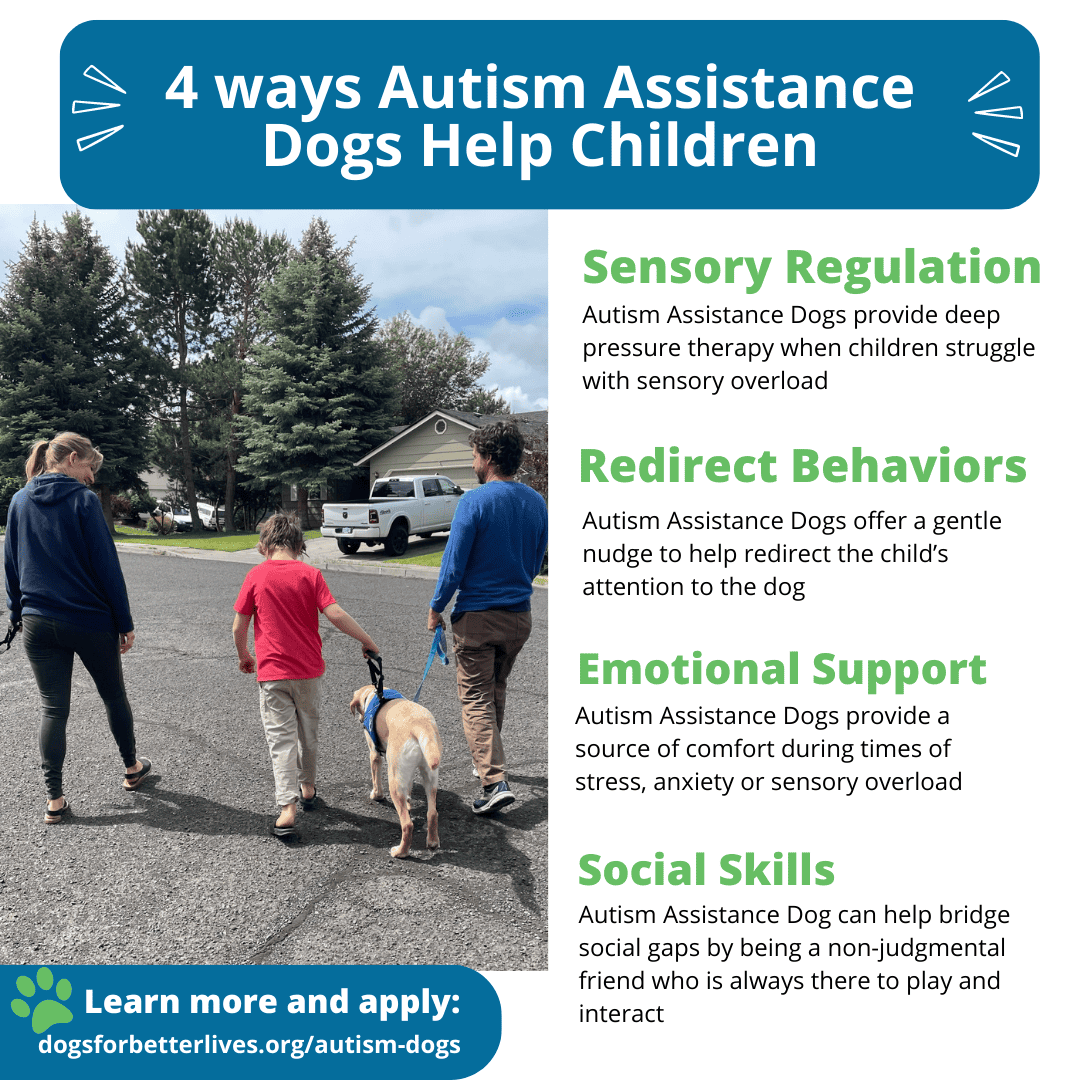 The Transformative Power of Autism Assistance Dogs and Facility Dogs ...
