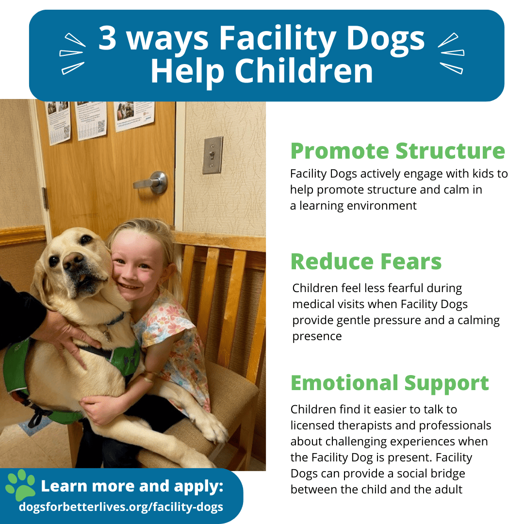The Transformative Power of Autism Assistance Dogs and Facility Dogs ...