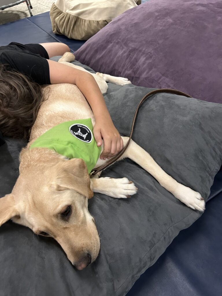 Facility Dog Kelly: Supporting Patients, Families and Staff at ...