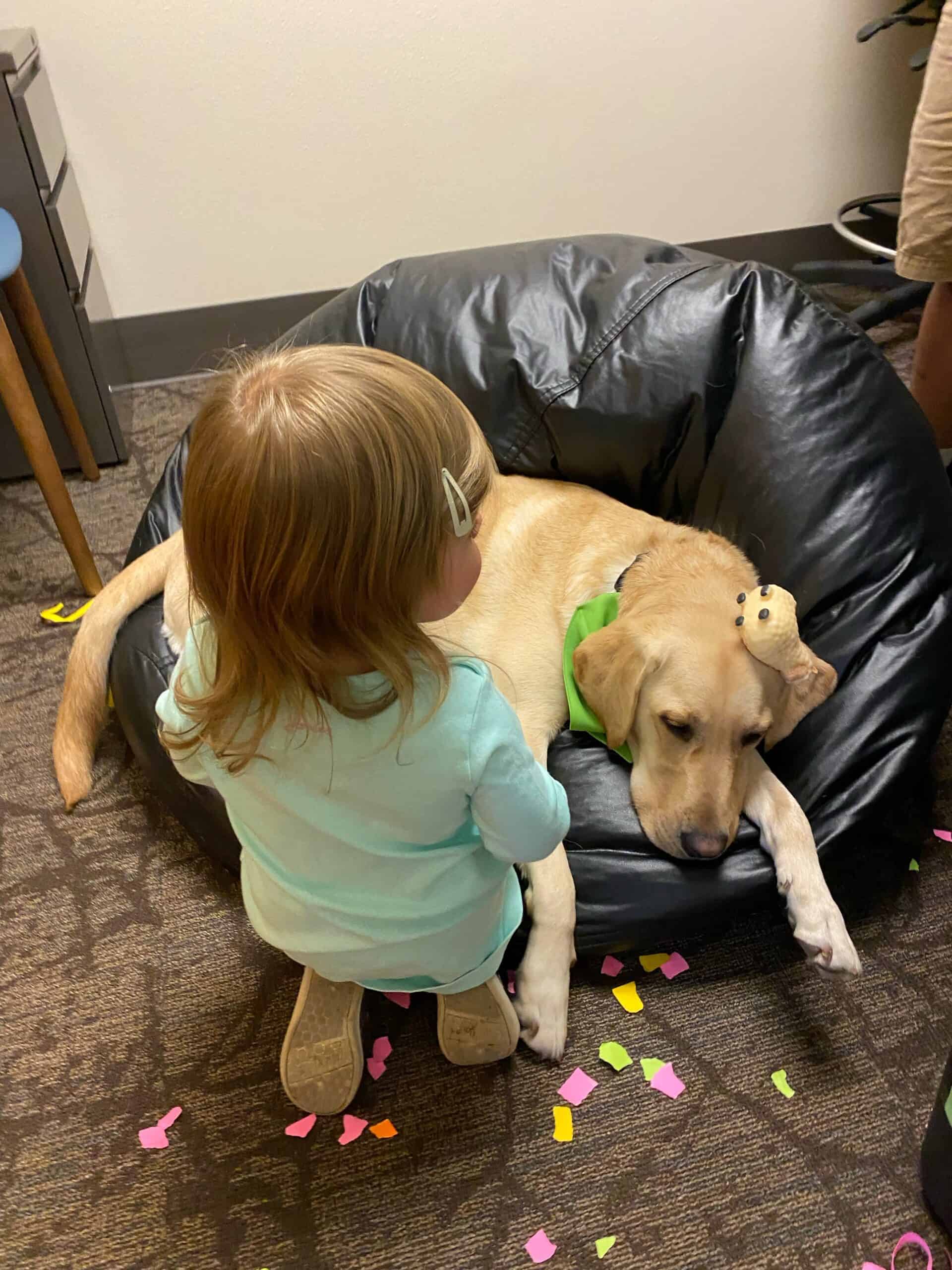 Facility Dog Kelly: Supporting Patients, Families and Staff at ...