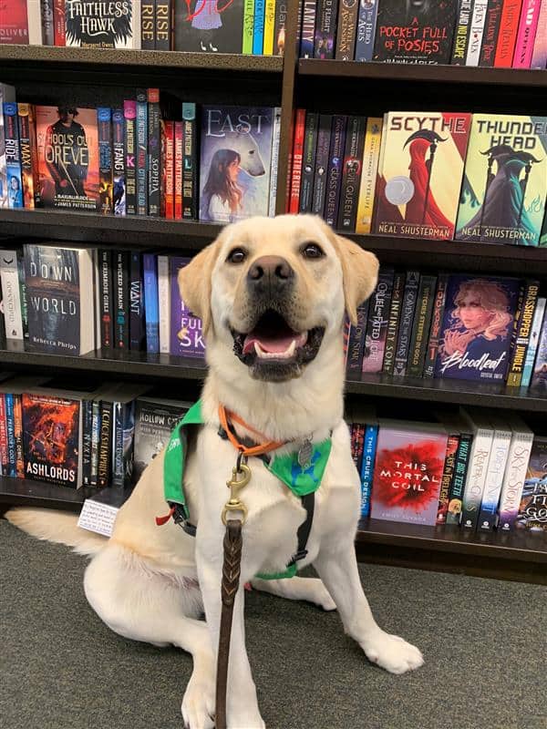 Donate Stock - Dogs For Better Lives