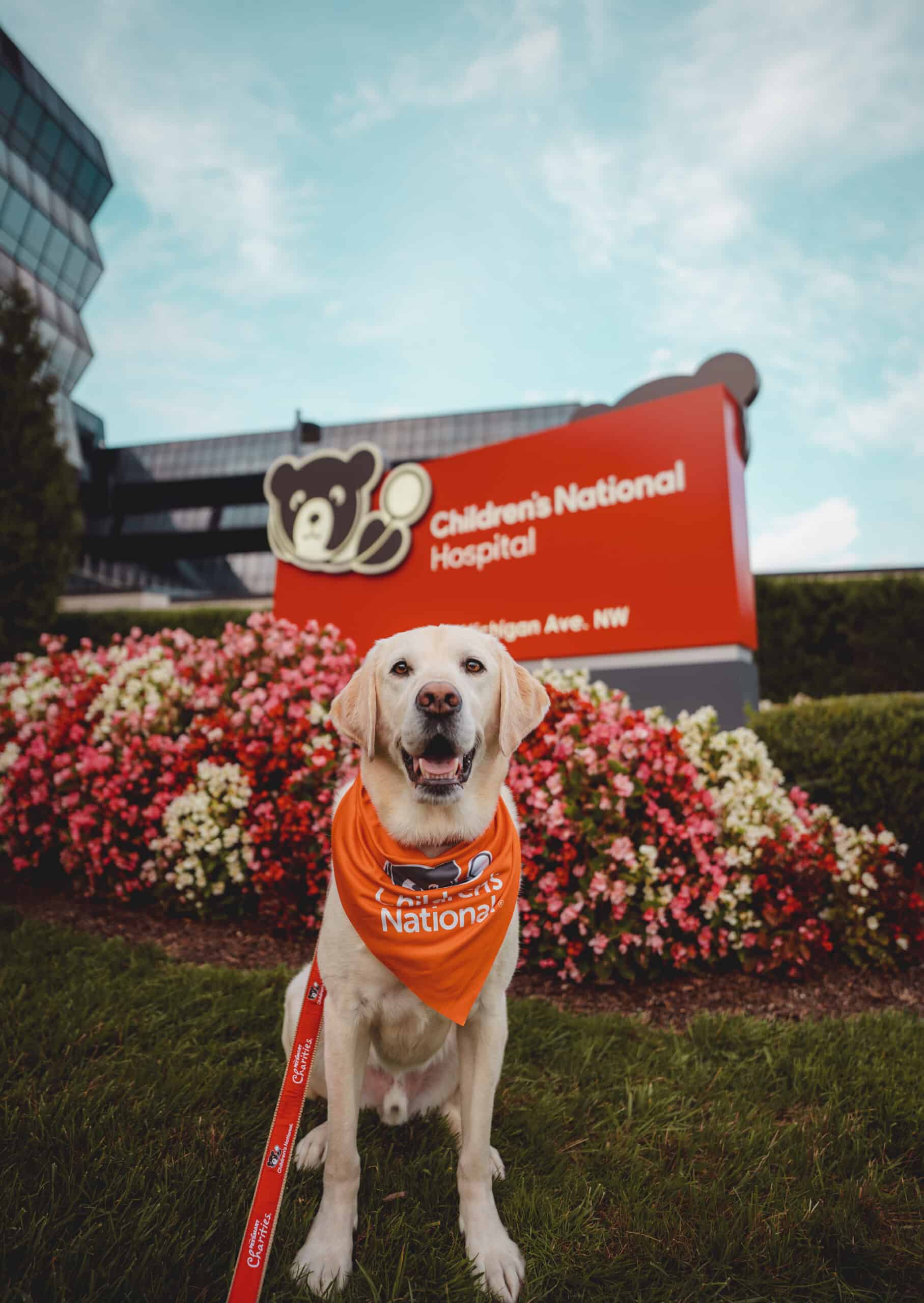Filbert's Cross-Country Move: Spreading Joy at Children's National ...