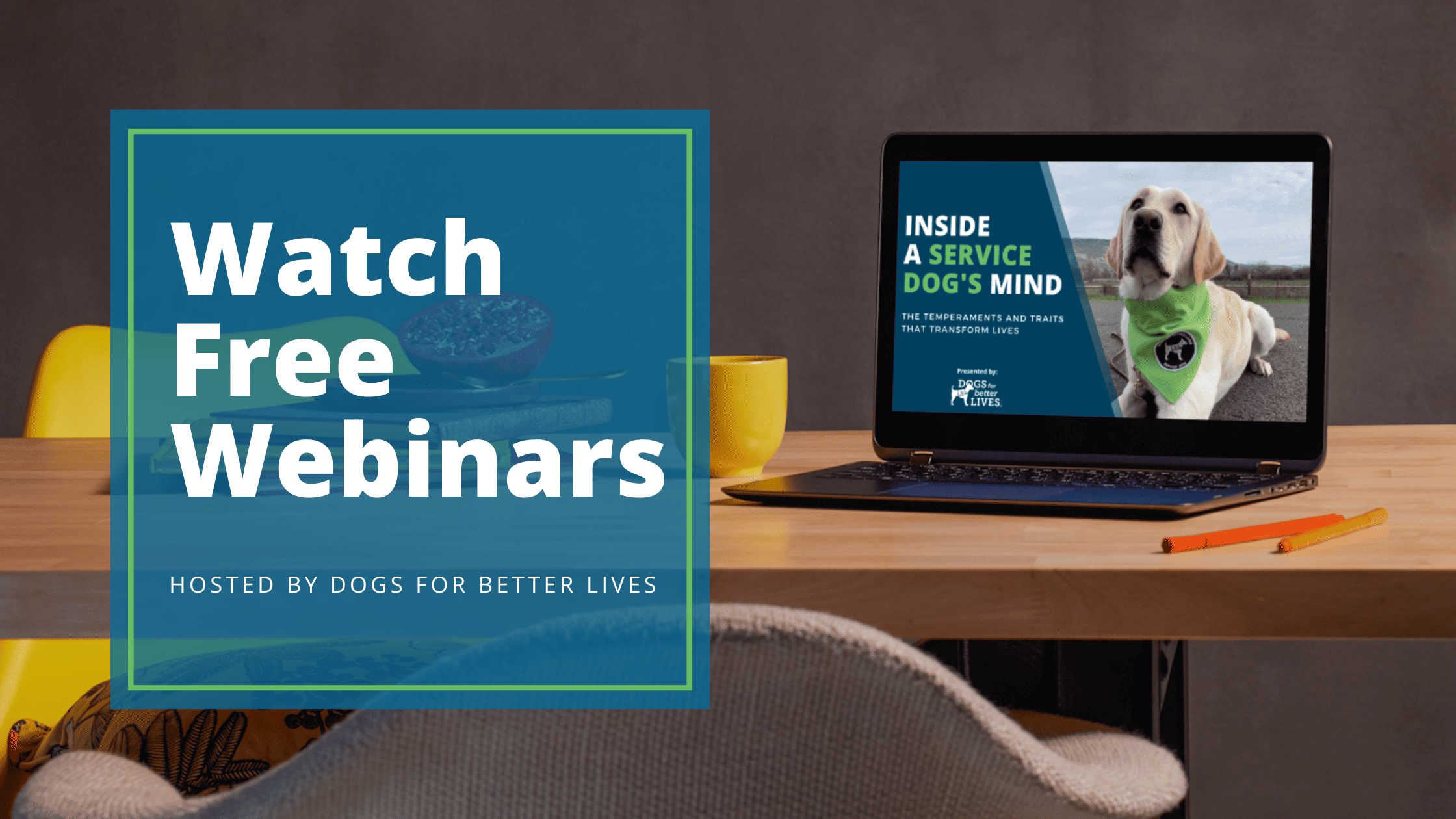 Watch our Webinars - Dogs For Better Lives