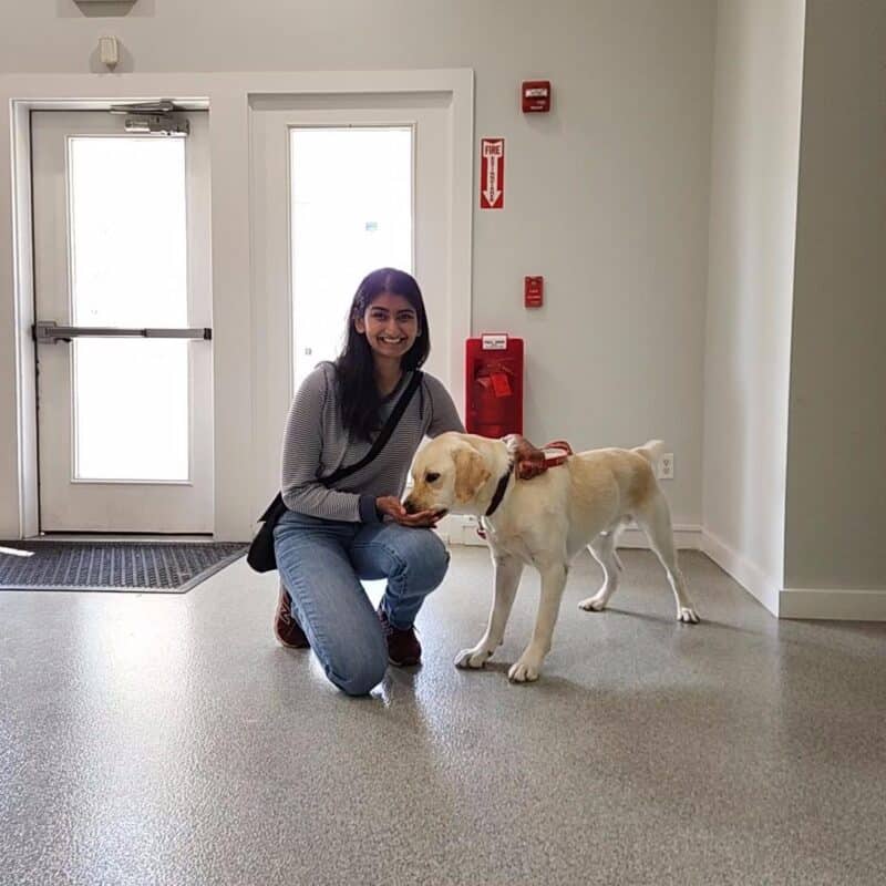 Career Change Dogs - Dogs For Better Lives