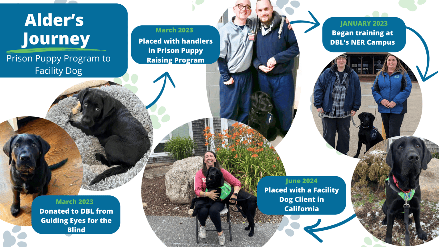 Dogs for Better Lives Celebrates First Placement from Prison Puppy ...
