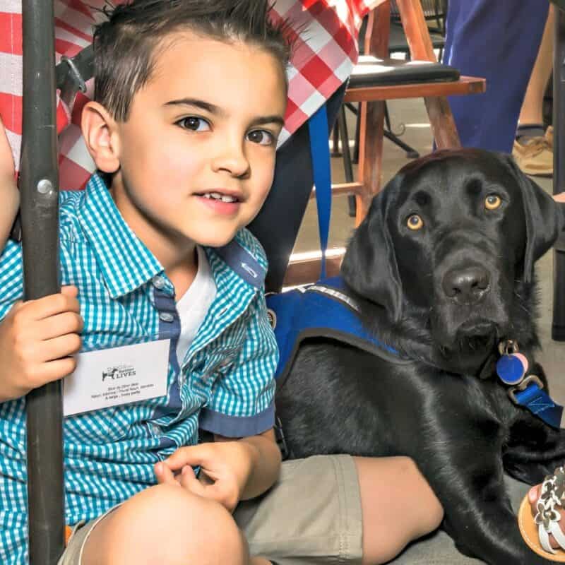 Dogs For Better Lives | Hearing, Autism, Facility Service Dogs‎