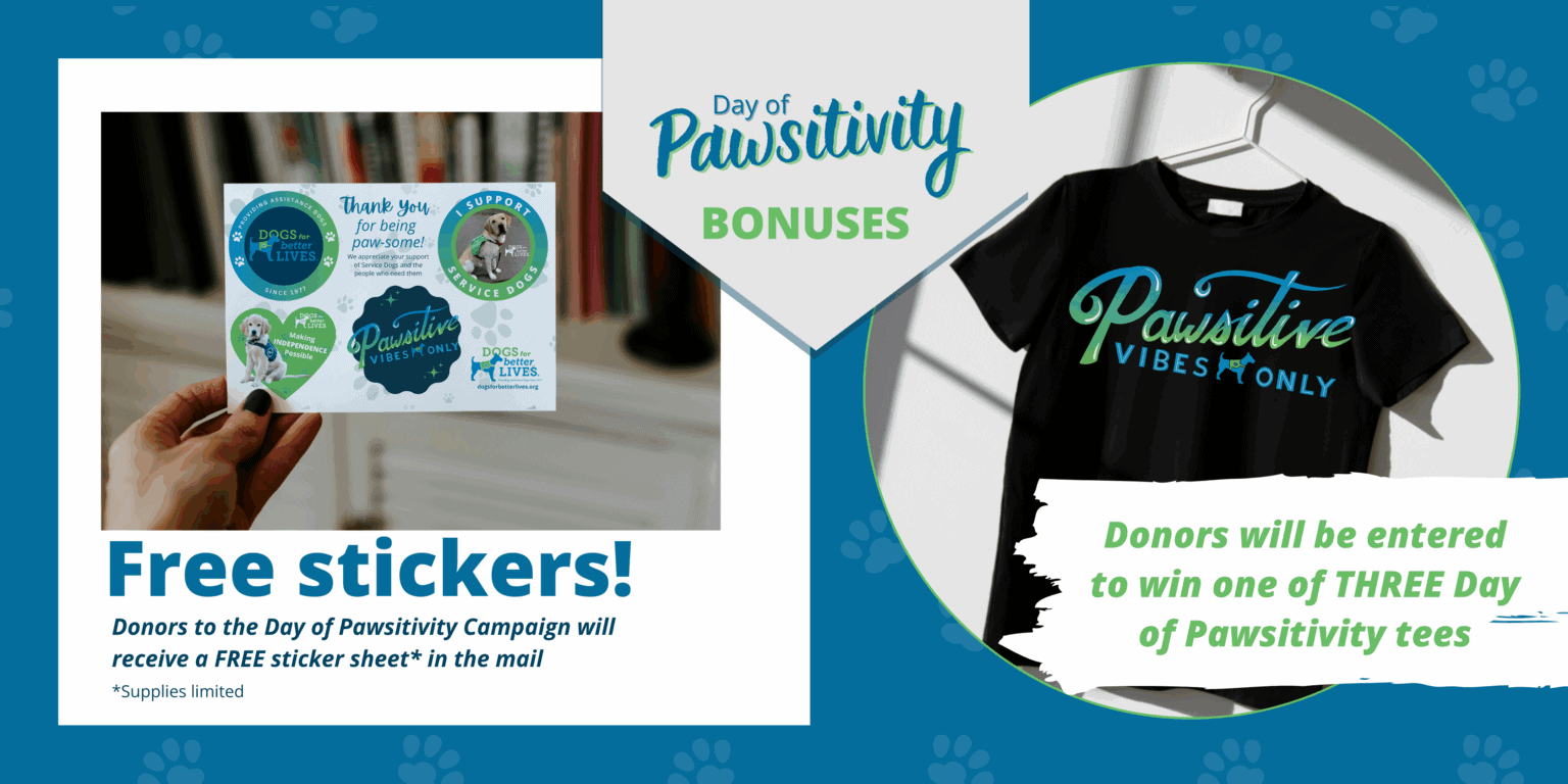 Celebrate the Day of Pawsitivity on National Dog Day 2025 - Dogs For ...