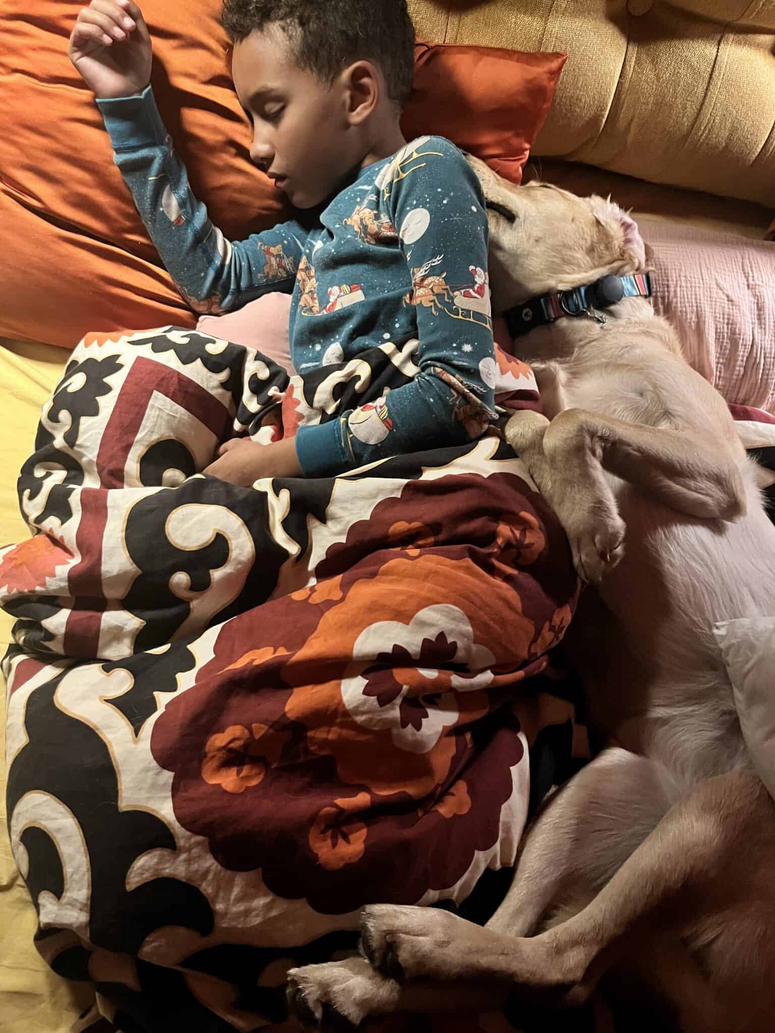 Clover Brings Calm and Confidence to Enzo’s Life - Dogs For Better Lives