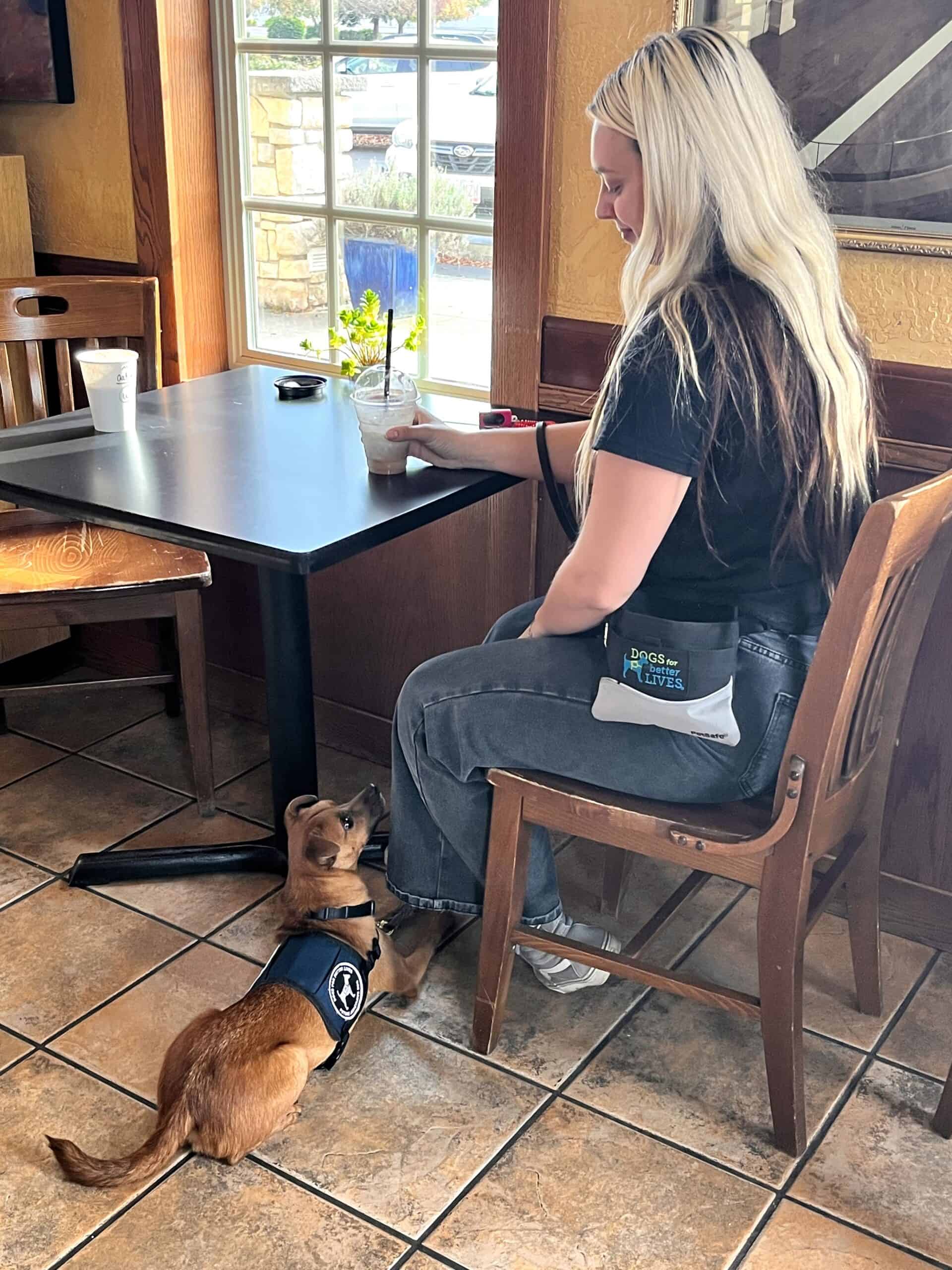 A Family's Gift, Guided by a Love for Dogs - Dogs For Better Lives